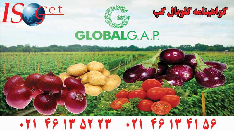 گواهینامه Global G.A.P و اخذ 3 گواهینامه ایزو مکمل آن چیست؟